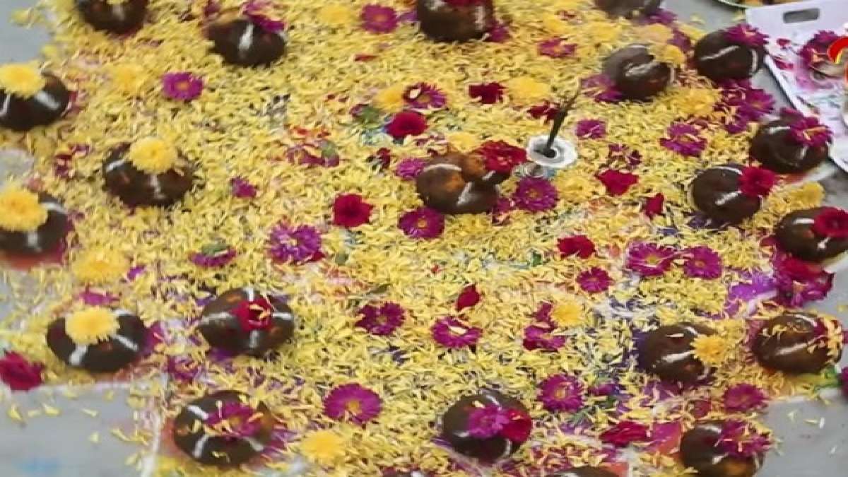 Gobbemma : సంక్రాంతి రంగవల్లుల మధ్యలో గొబ్బెమ్మలను ఎందుకు ఉంచుతారో ...