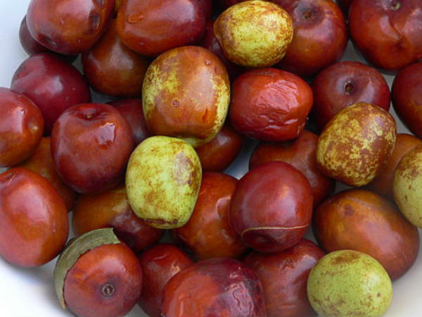 రేగిపండ్లలోని అద్భుత ఆరోగ్య ప్రయోజనాలు | Surprizing Health benefits of ...