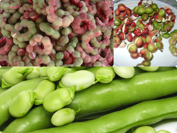 సీమ చింతకాయ సత్తా తెలిపే.. హెల్త్ బెన్ఫిట్స్ | 10 Amazing Health ...