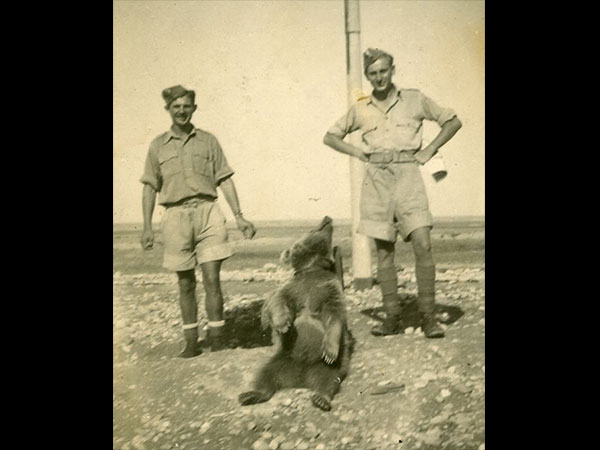 ఆ ఎలుగుబంటి దమ్ము కొట్టేది.. బీర్లు తాగేది.. రెండో ప్రపంచ యుద్ధంలో ...