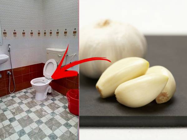 రాత్రి పడుకునే ముందు వెల్లుల్లి రెబ్బను టాయిలెట్ లో వేస్తే ఏమవుతుందో ...