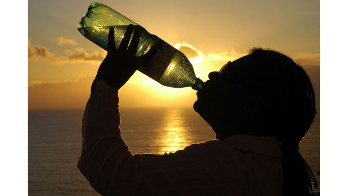 Sun Charged Water: సన్‌ ఛార్జ్ వాటర్ బెనిఫిట్స్ తెలిస్తే అస్సలే ...
