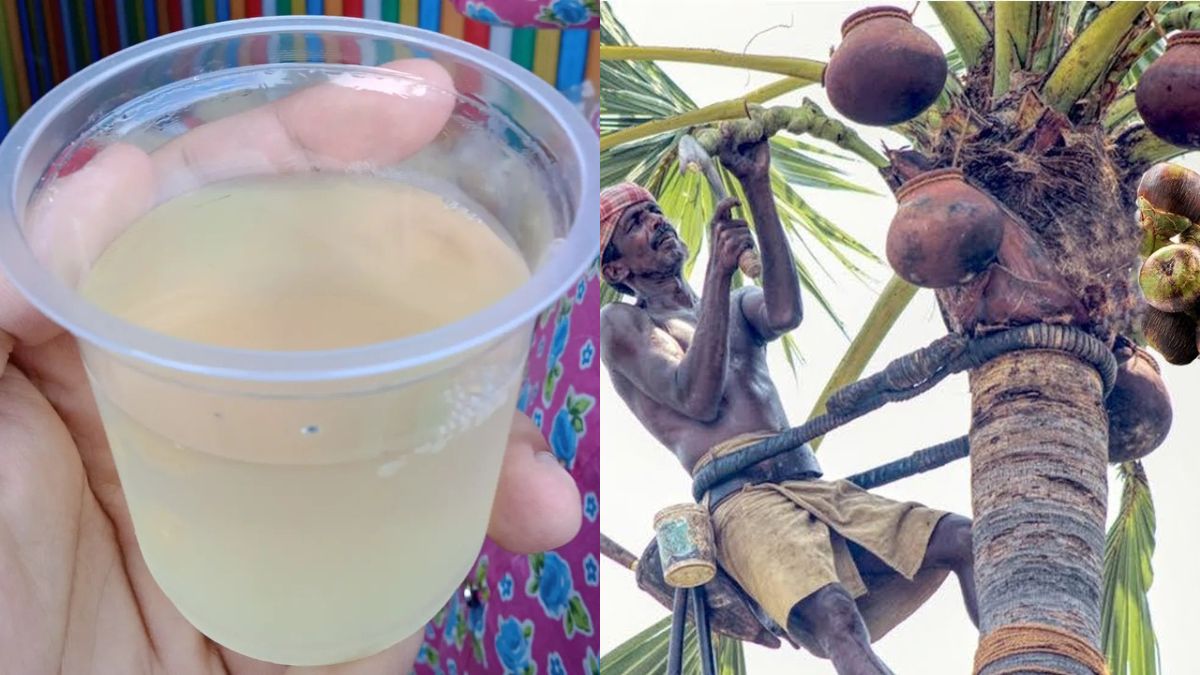 Neera: నోరూరించే నీరాతో ఇన్ని ఆరోగ్య ప్రయోజనాలా? | Health Benefits And ...